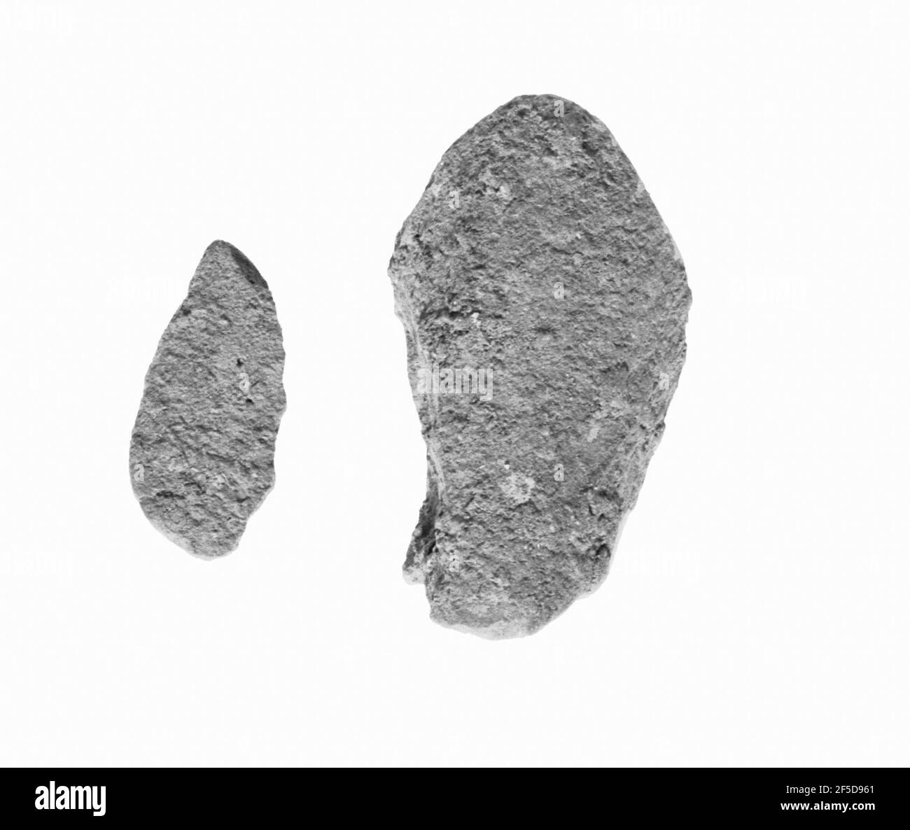 Fragment preserved Cut Out Stock Images & Pictures - Alamy