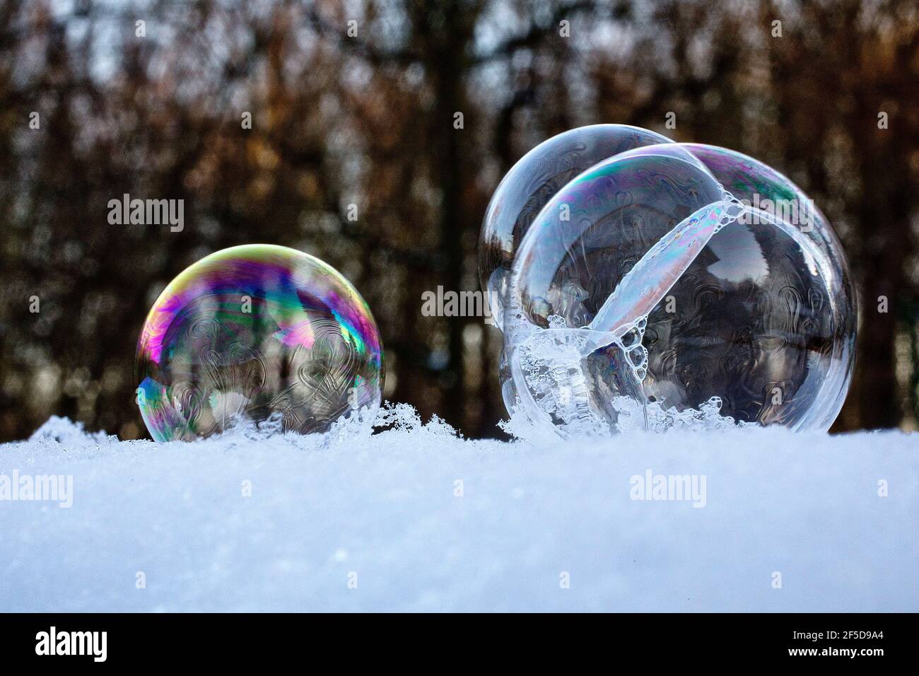 soap bubbles on snow, Germany Stock Photo - Alamy