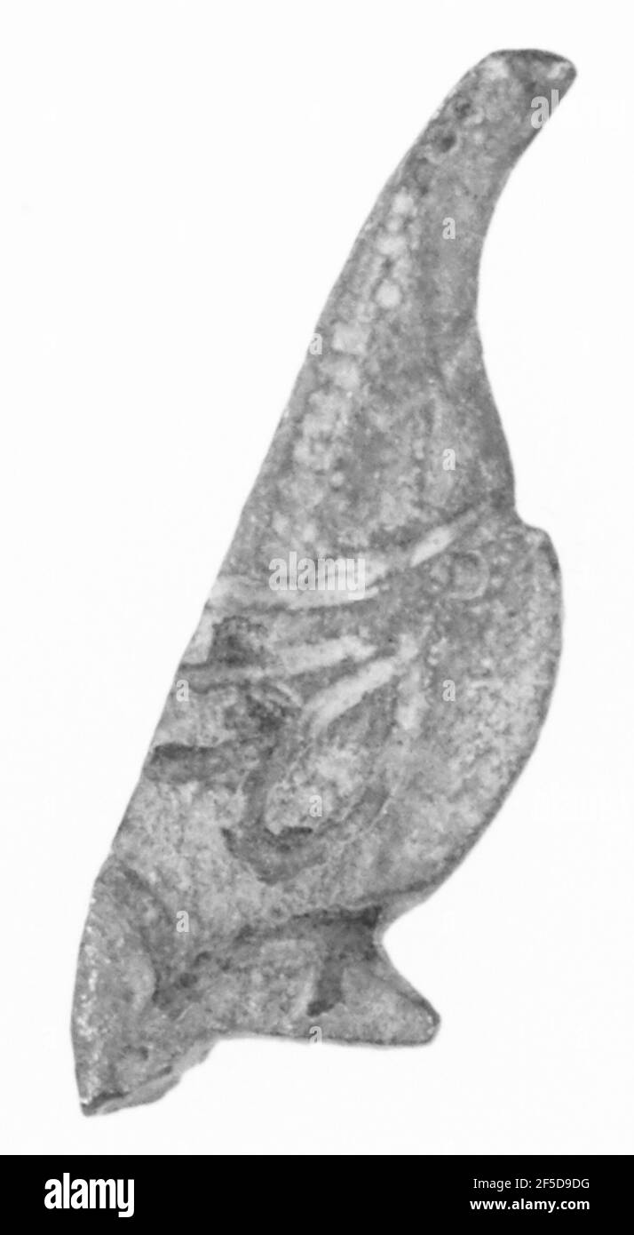 Dolphin style art Cut Out Stock Images & Pictures - Alamy