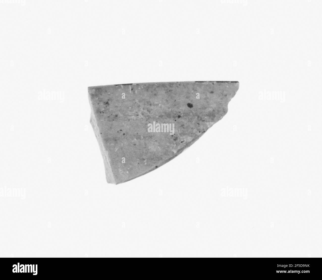 Fragment preserved Cut Out Stock Images & Pictures - Alamy