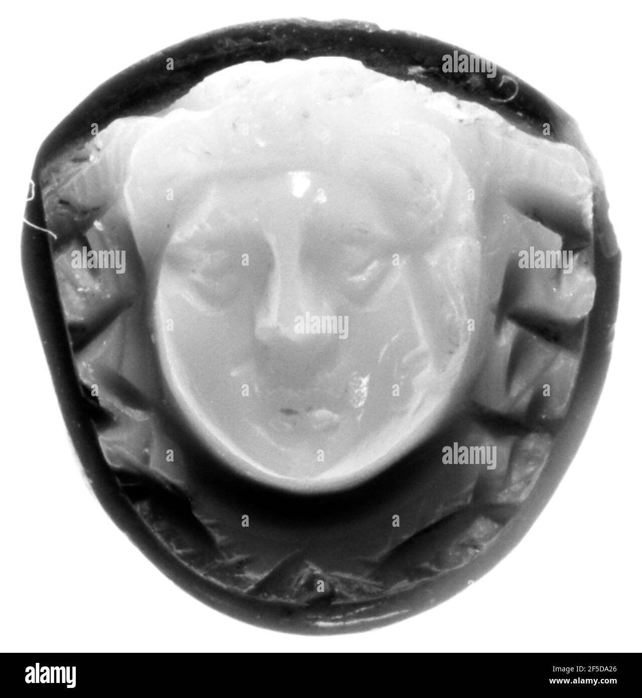 Shell cameo Cut Out Stock Images & Pictures - Alamy