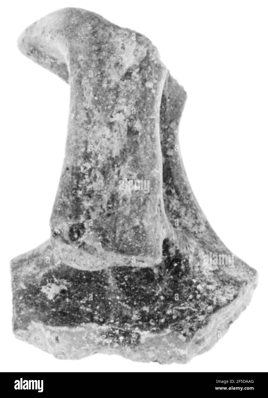 Small fragments Cut Out Stock Images & Pictures - Alamy