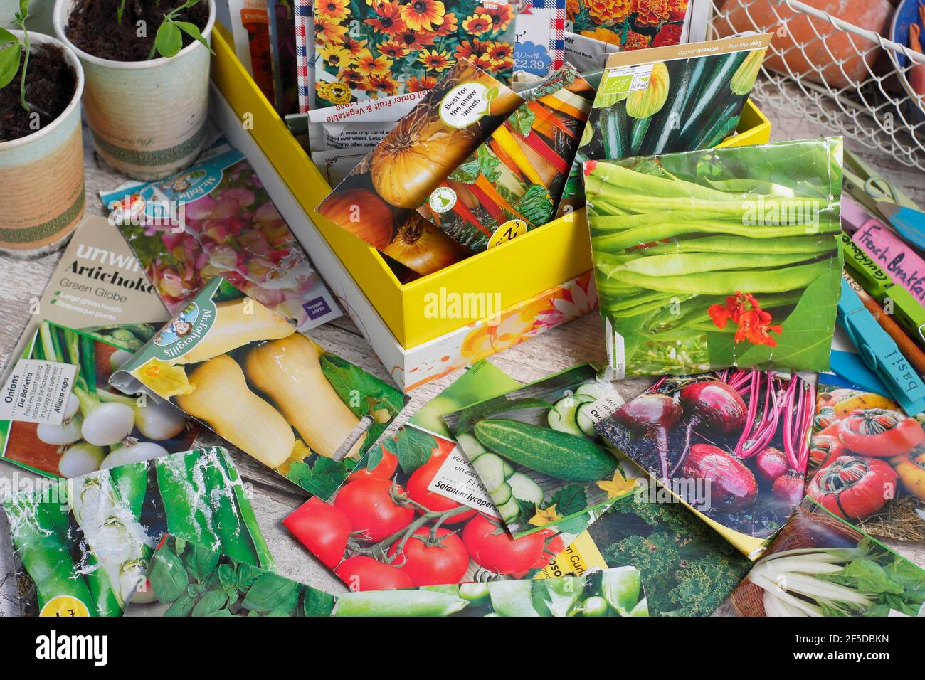 Spring box hi-res stock photography and images - Alamy