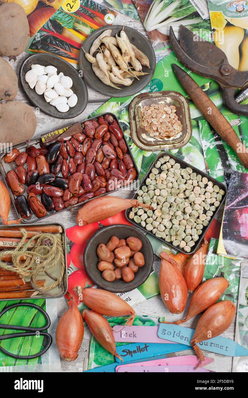 Seed display hi-res stock photography and images - Alamy