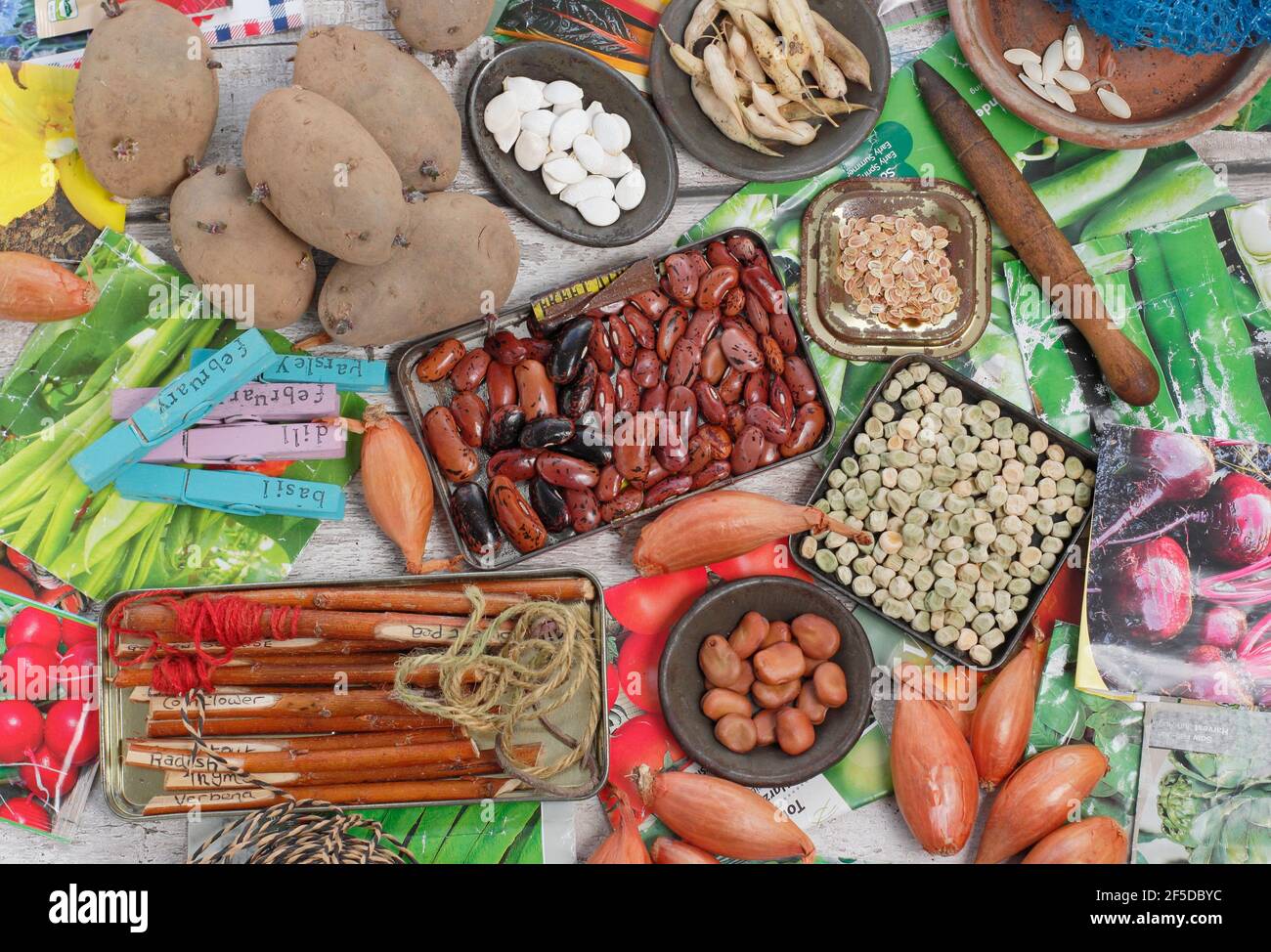 Spring sowing display: seed packets, seed potatoes, shallot set, plant ...