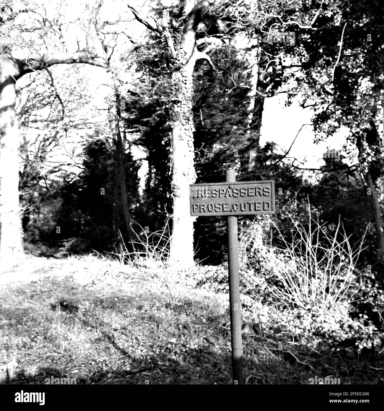 What 120 film Black and White Stock Photos & Images - Alamy