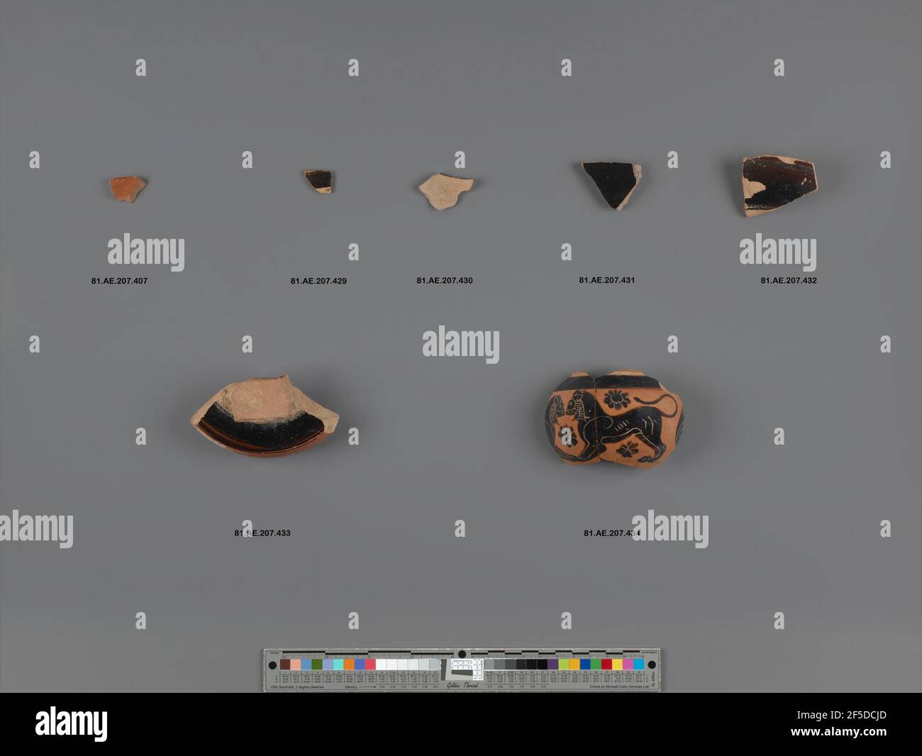 Attic(?) Black-Figure Pyxis or Aryballos Fragment (comprised of 2 ...