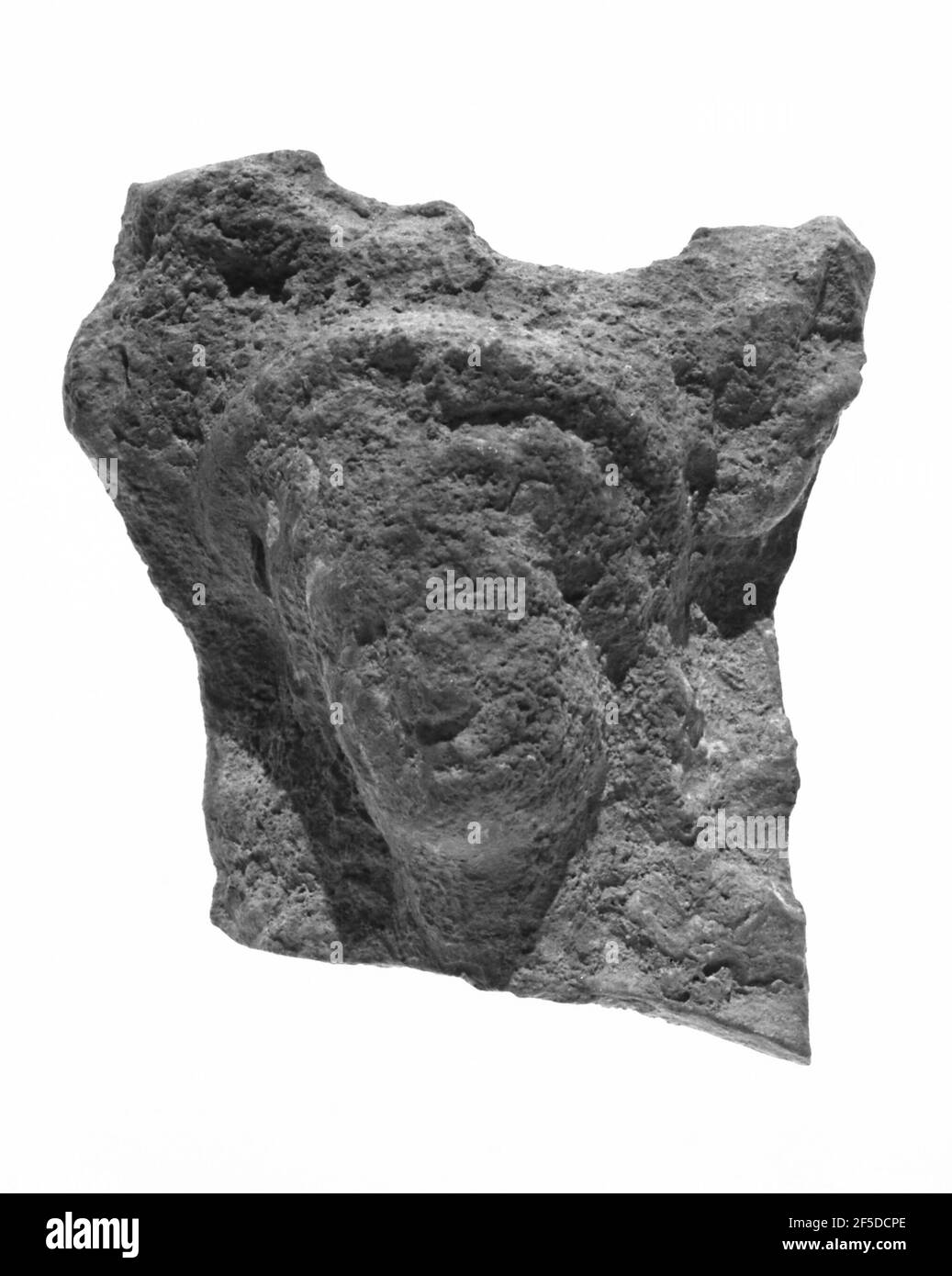 Female Head. Unknown Stock Photo - Alamy