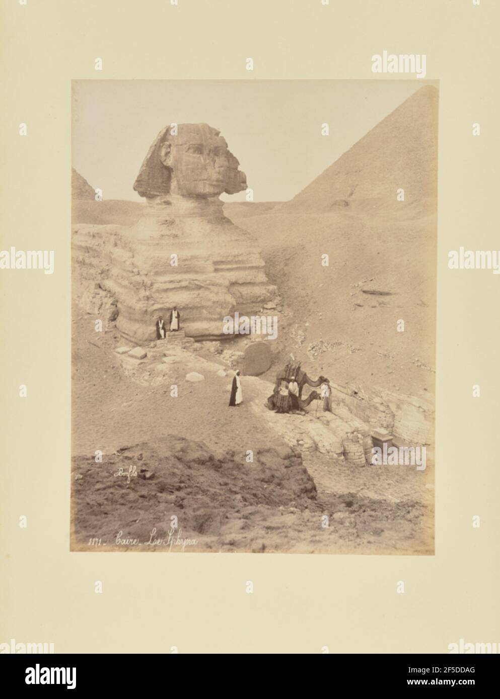 Sphynx egypt paws hi-res stock photography and images - Alamy