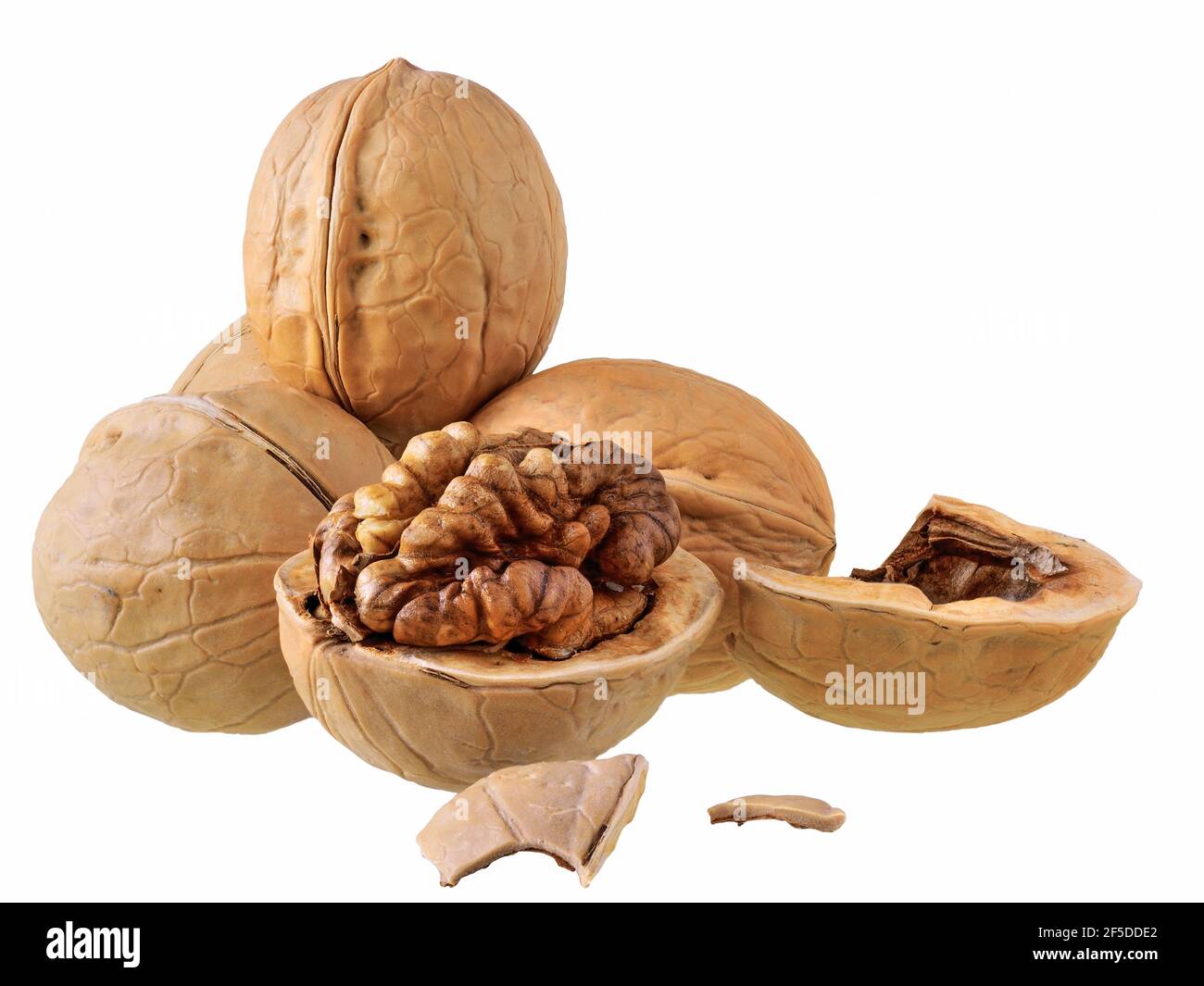 Walnut crack close up isolated on a white background Stock Photo - Alamy