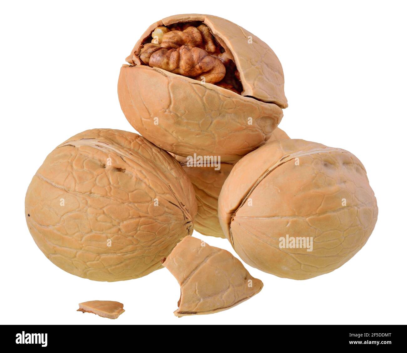 Walnut crack close up isolated on a white background Stock Photo - Alamy
