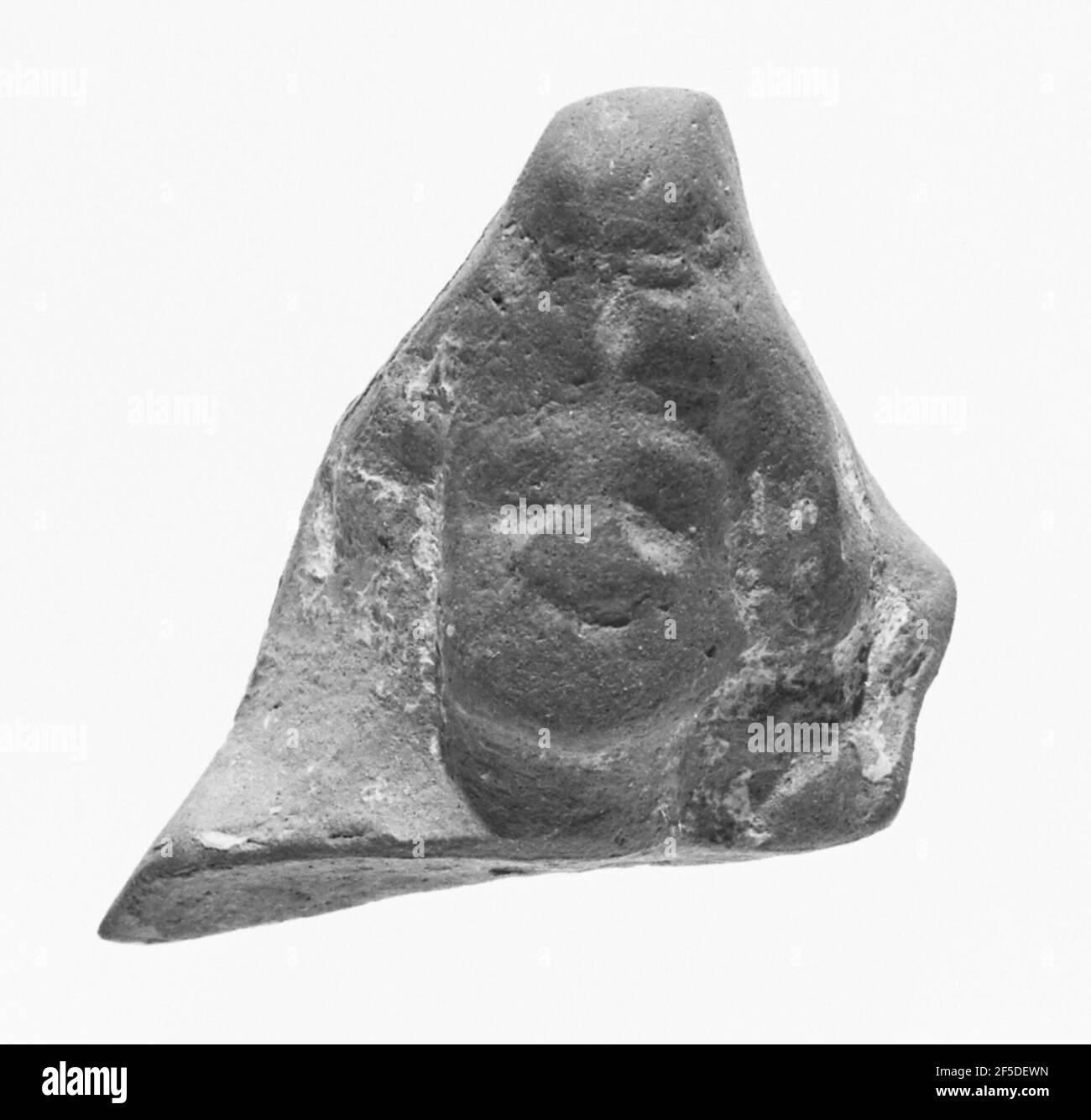 Female anatomy vintage hi-res stock photography and images - Alamy