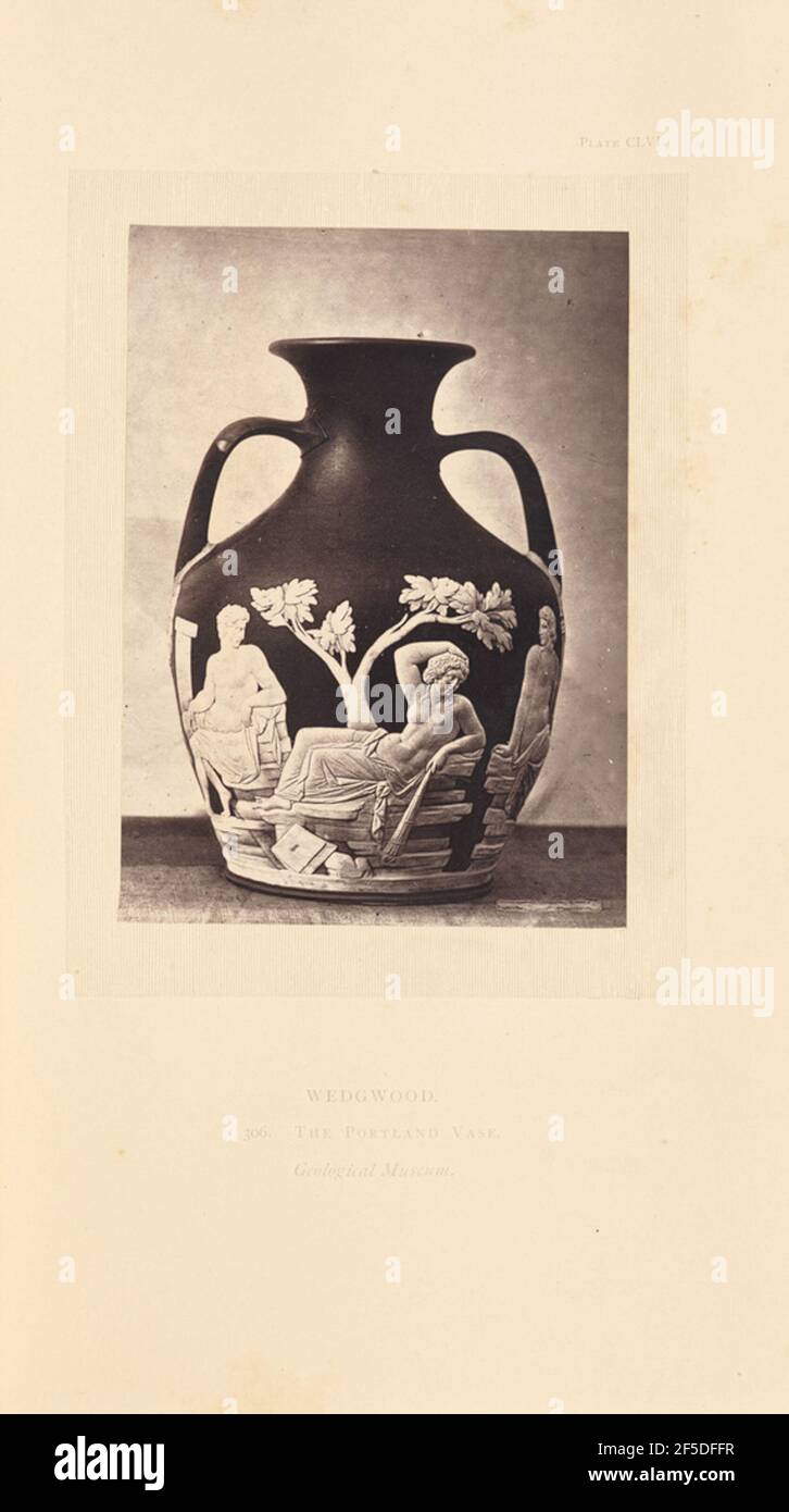 The Portland Vase. The Portland Vase. The neck is narrow and widens to ...