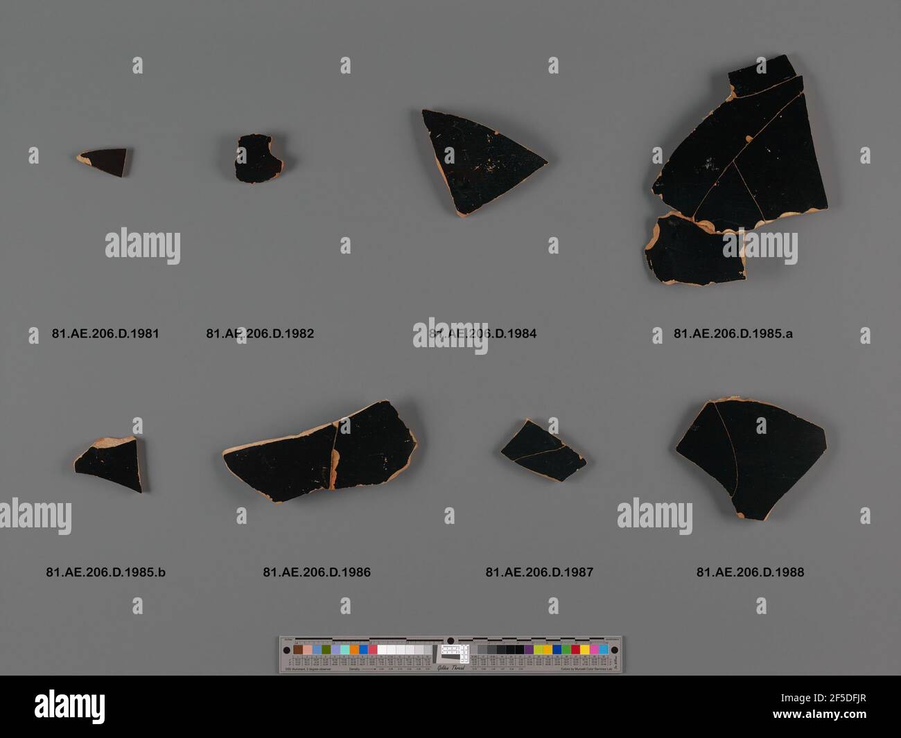 Attic Red-Figure Hydria Fragment. Berlin Painter (Greek (Attic), active ...