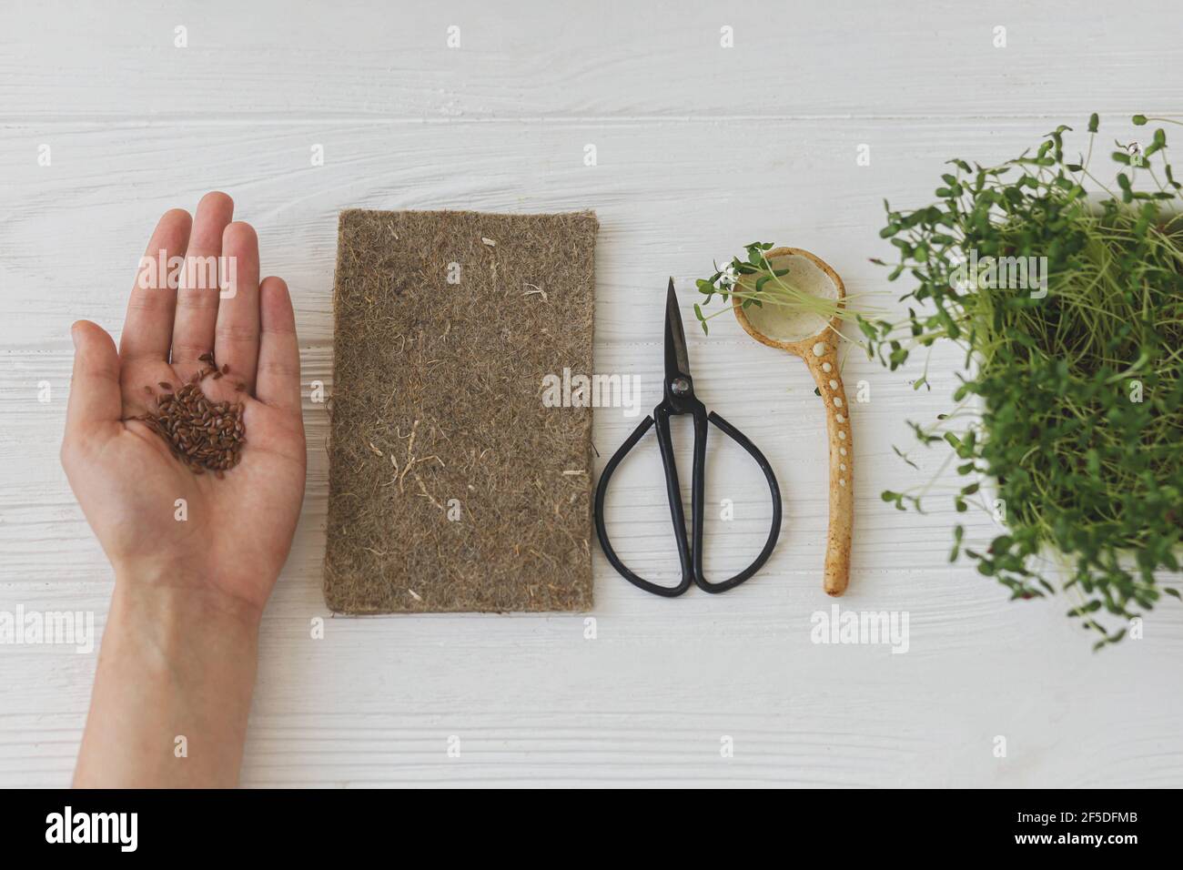 Linen growing mat hi-res stock photography and images - Alamy