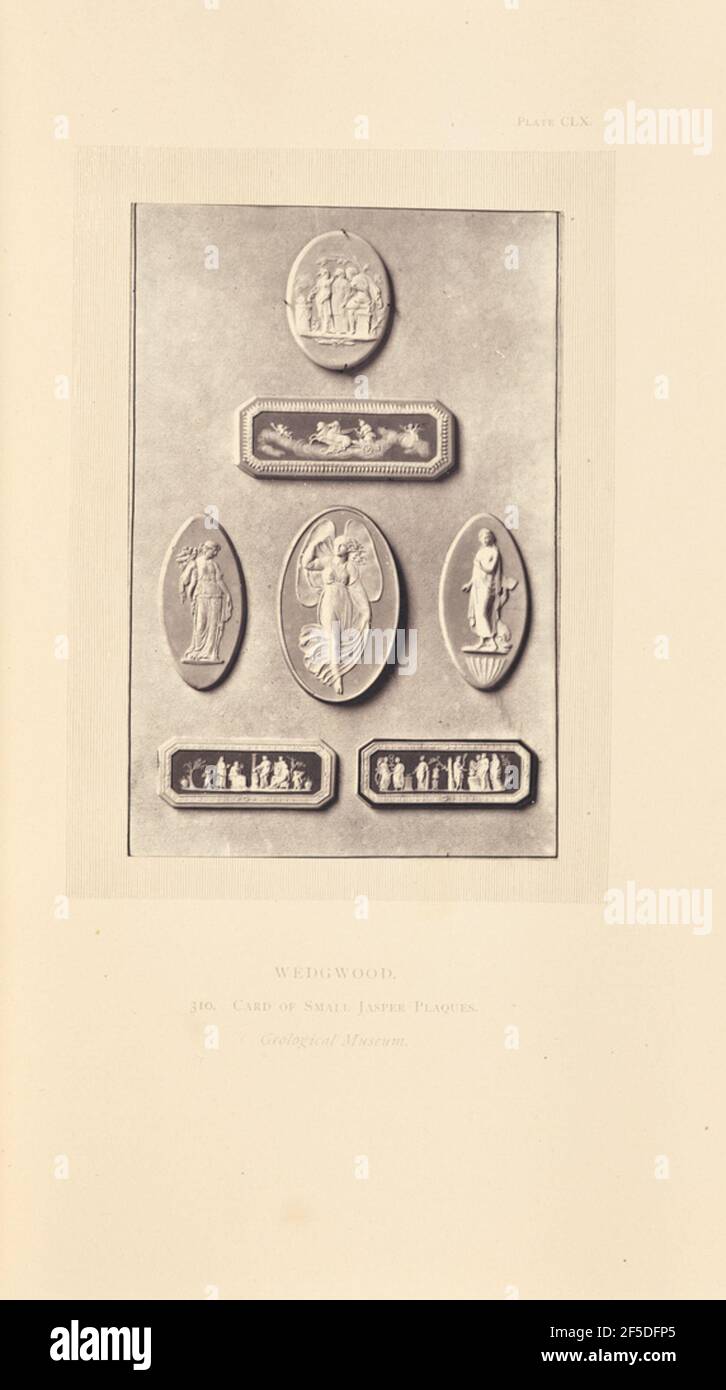 Seven small plaques. Seven small plaques pinned to a card. The second ...