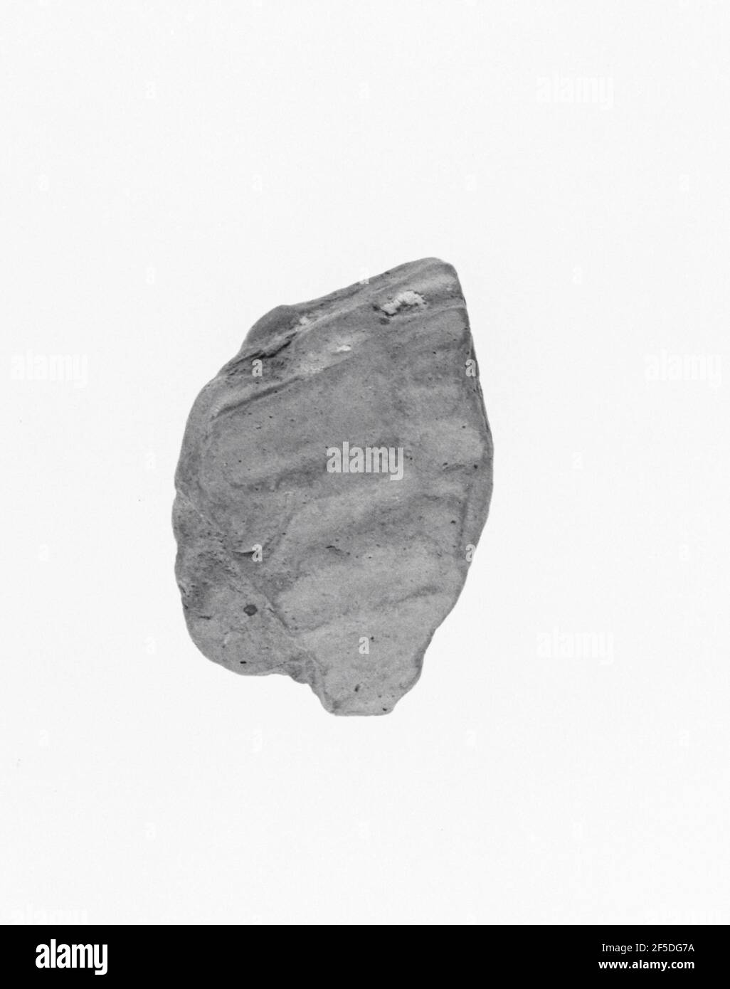 Fragment preserved Cut Out Stock Images & Pictures - Alamy