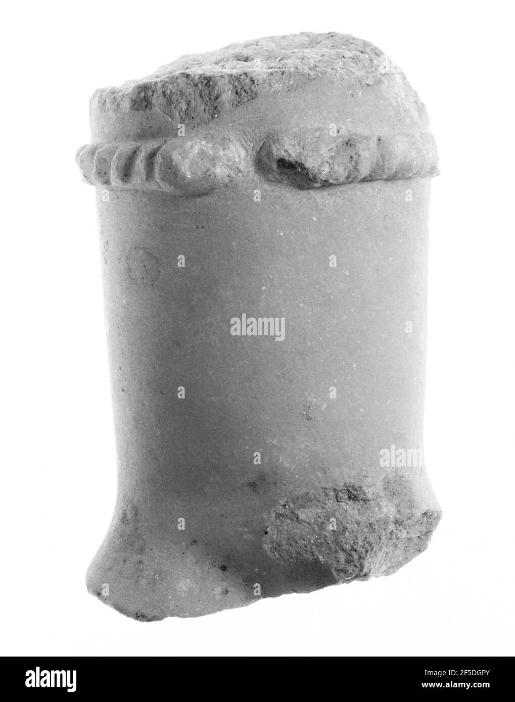 Fragment preserved Cut Out Stock Images & Pictures - Alamy