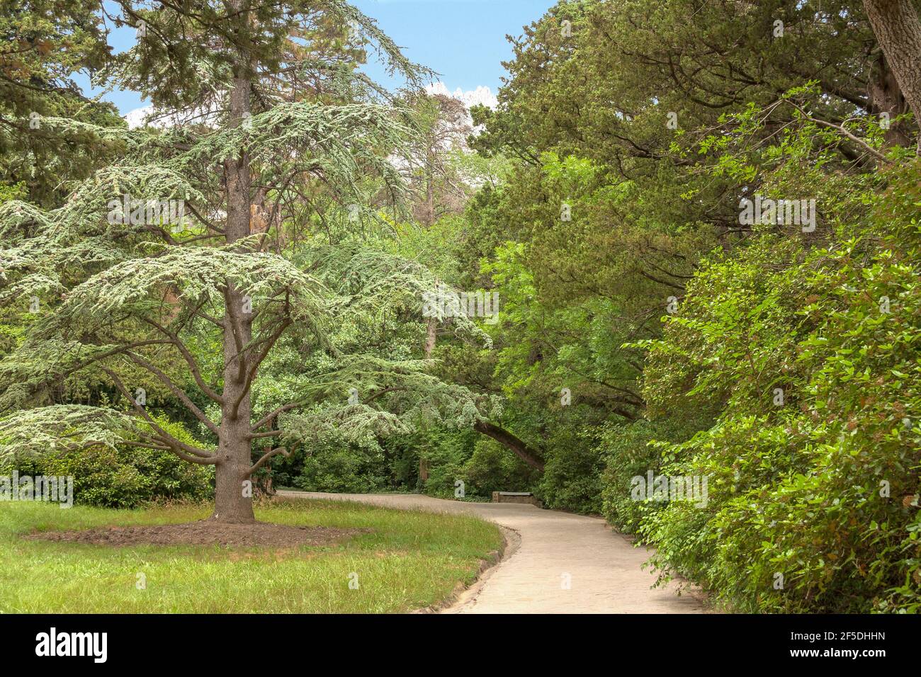 Alley and footpath hi-res stock photography and images - Alamy