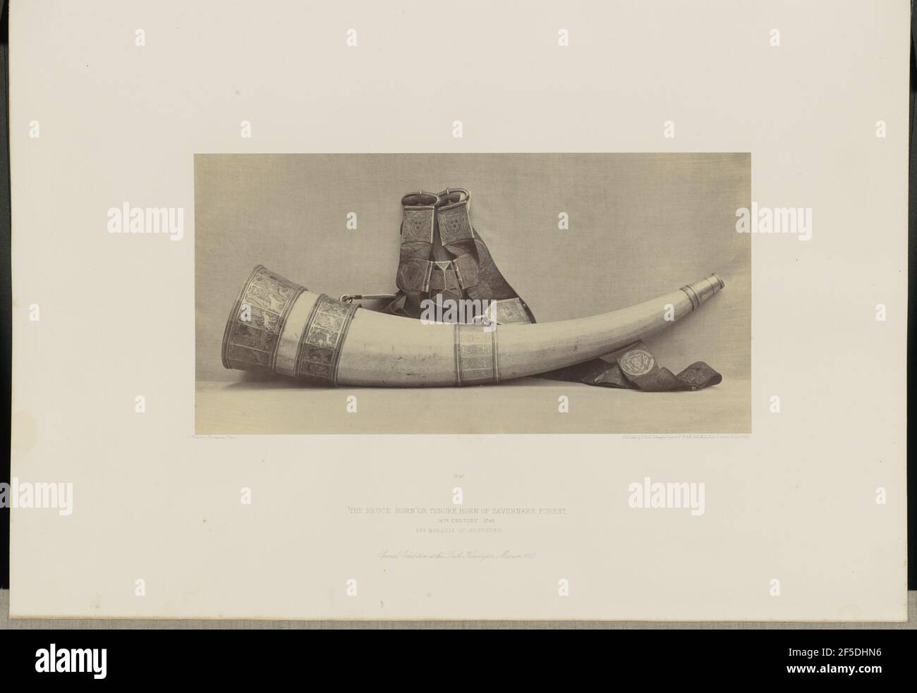 "The Bruce Horn" or Tenure Horn of Savernake Forest. Charles Thurston ...