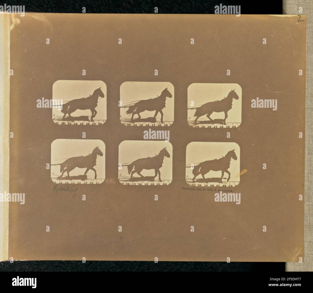 Hauling. Six frames depicting a horse hauling an unidentified object ...