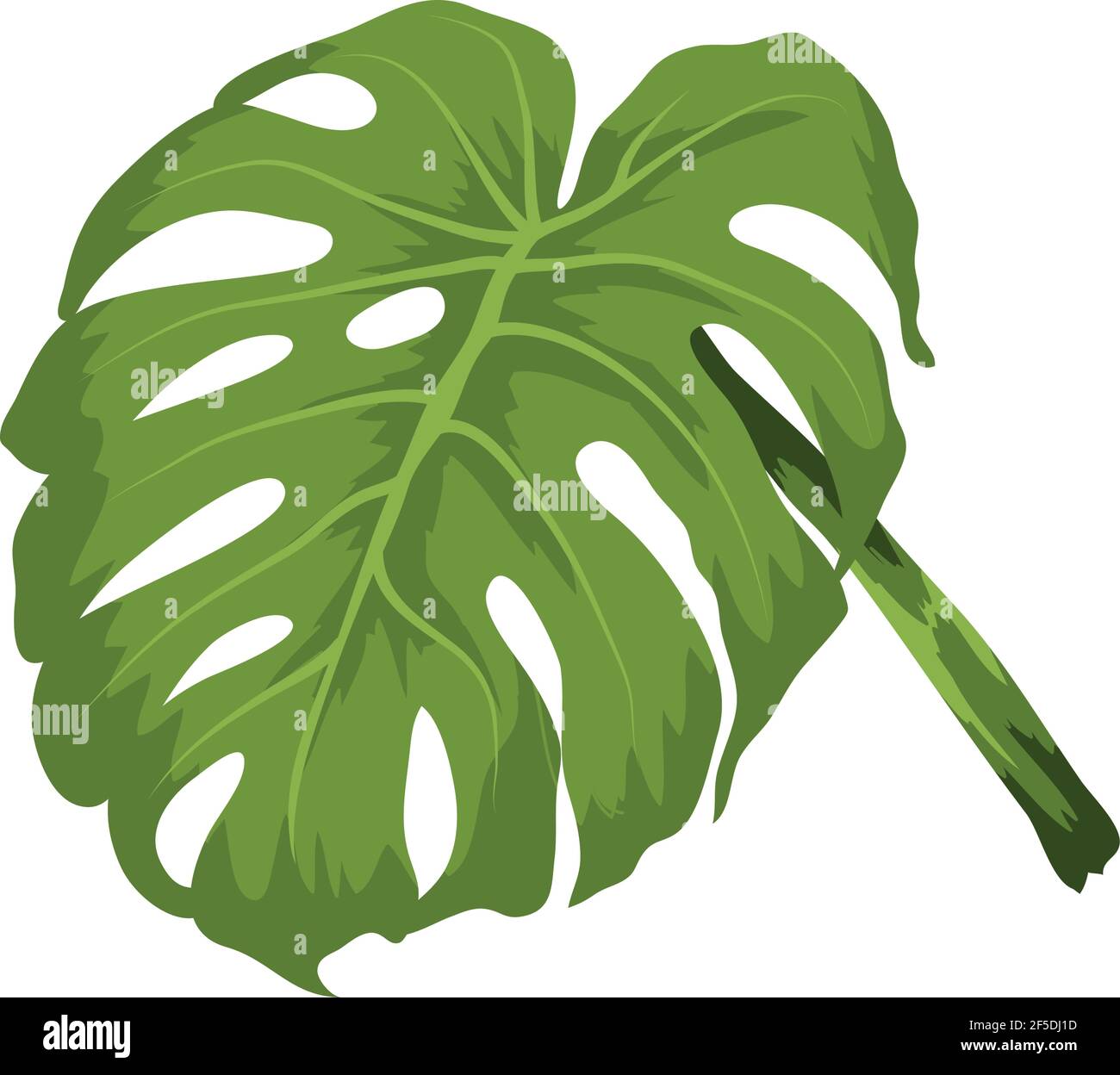 exotic leave foliage tropical icon Stock Vector Image & Art - Alamy