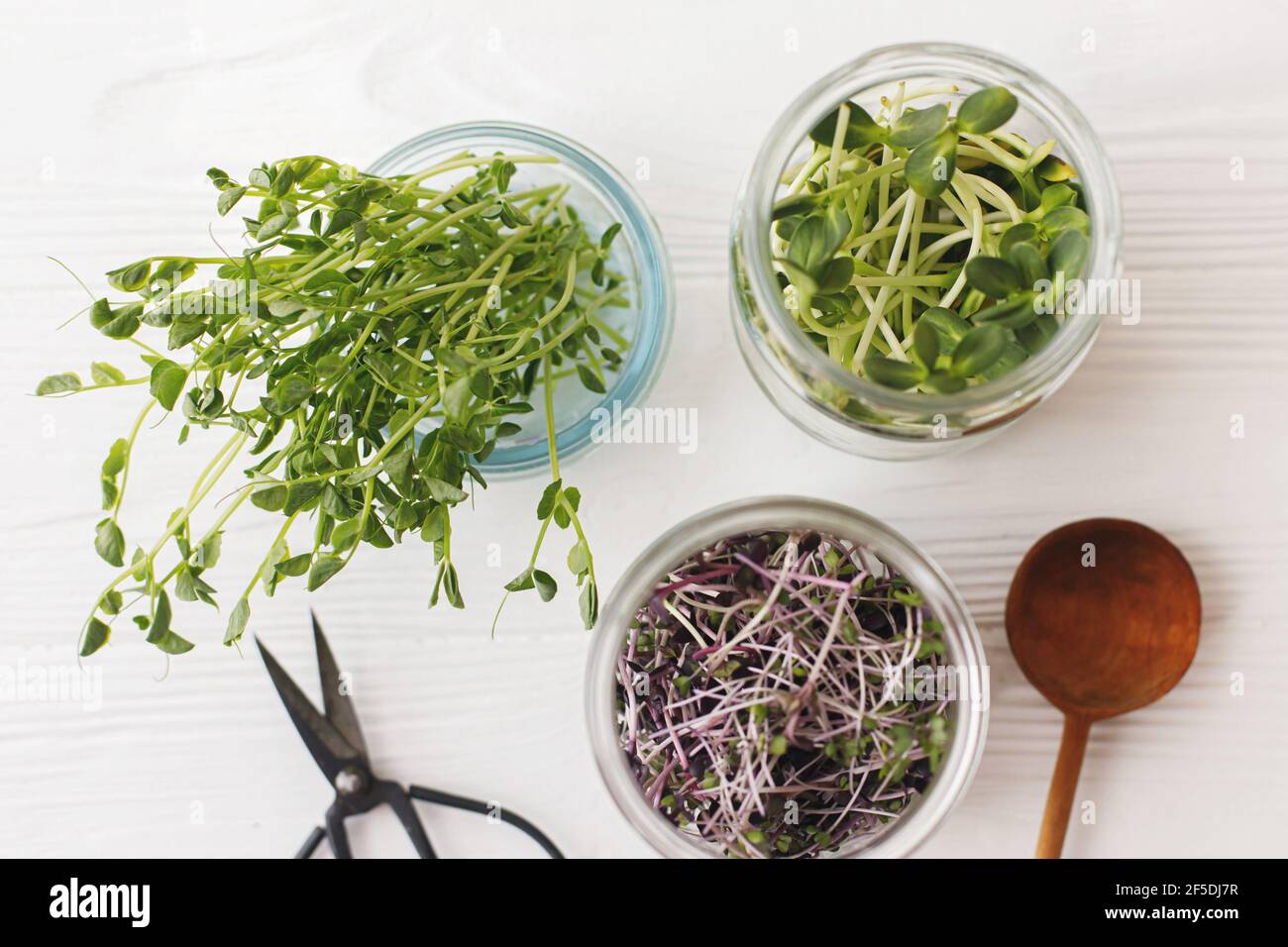 Glass jars with fresh red cabbage, red radish, sunflowers, green peas ...
