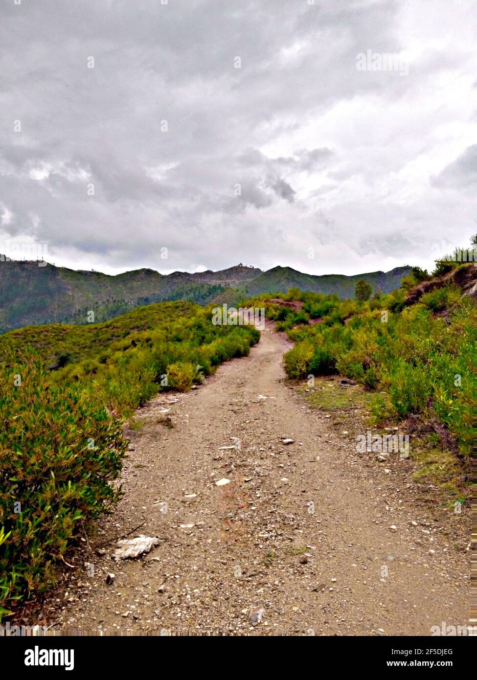 Narrow pathway passing through a green landscape; picturesque hills and ...