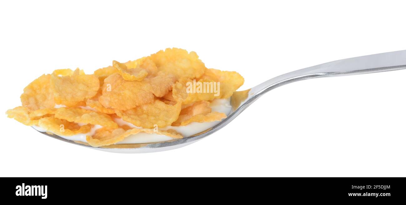 corn flakes in a spoon with yogurt on a white background Stock Photo ...
