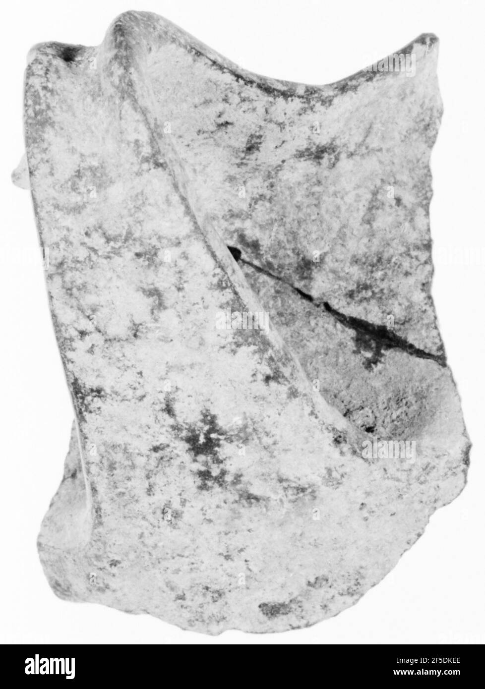 Small fragments Cut Out Stock Images & Pictures - Alamy