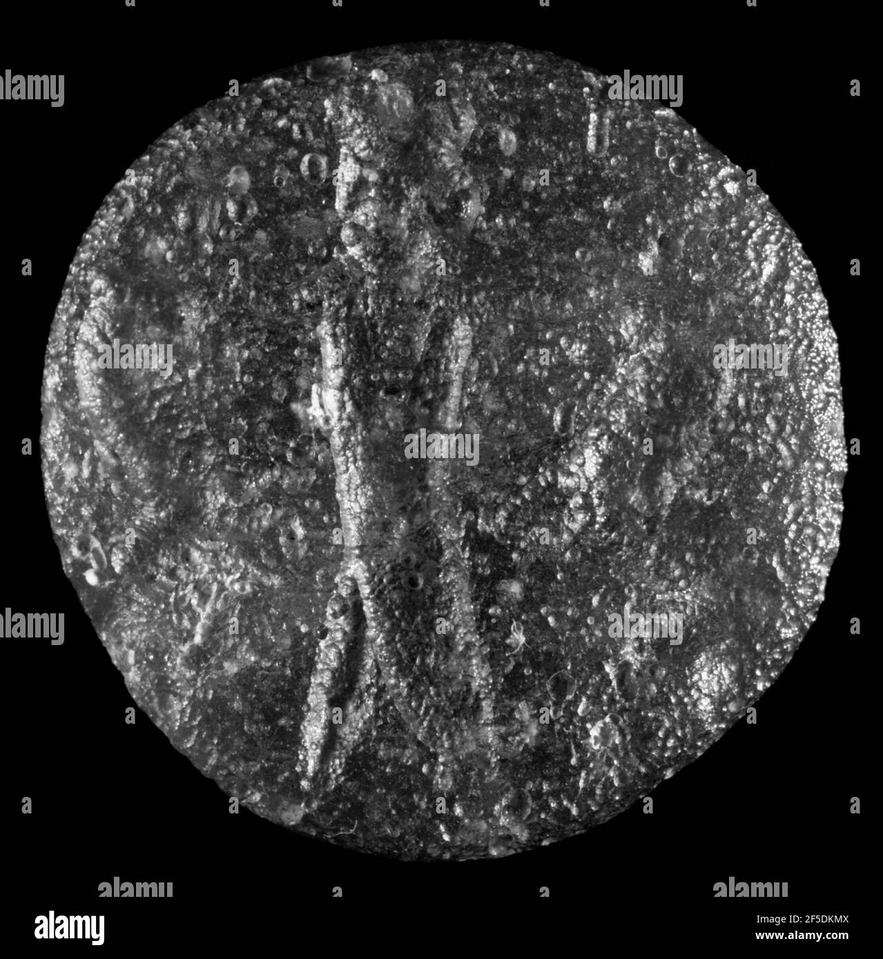 Conoid hi-res stock photography and images - Alamy