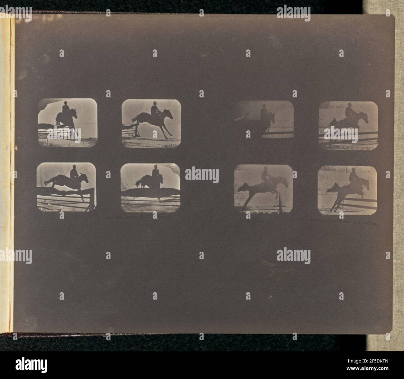 Leaping. Two sets of four frames depicting a horse approaching and ...