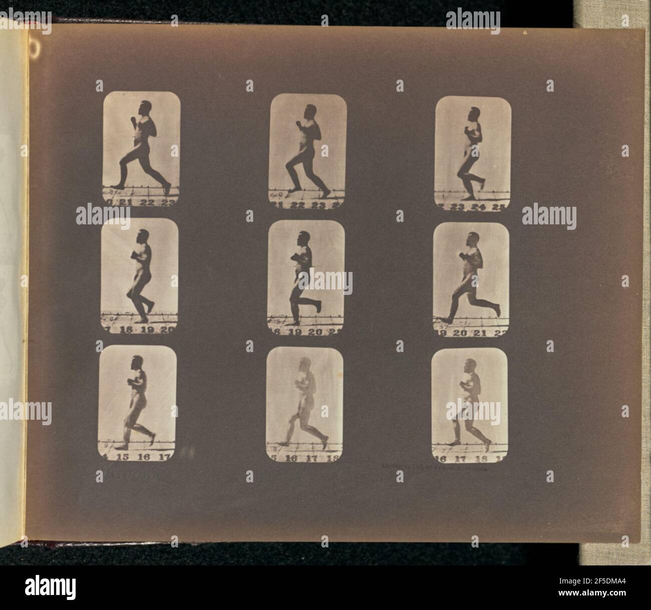 Running. Nine frames depicting a male nude running. The frames are ...