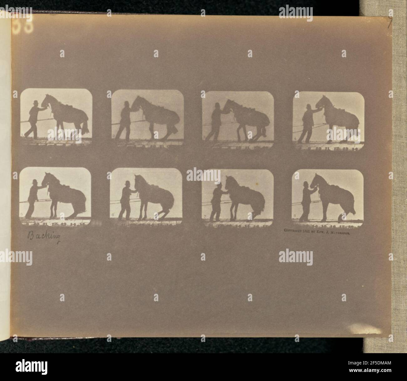 Reverse negative hi-res stock photography and images - Alamy