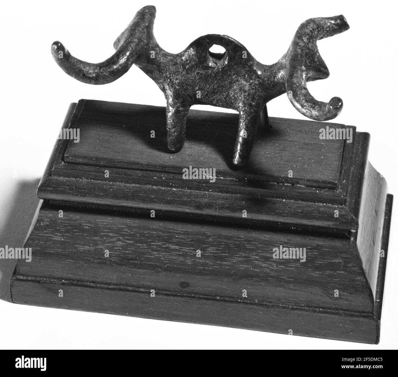 Two headed bull hi-res stock photography and images - Alamy