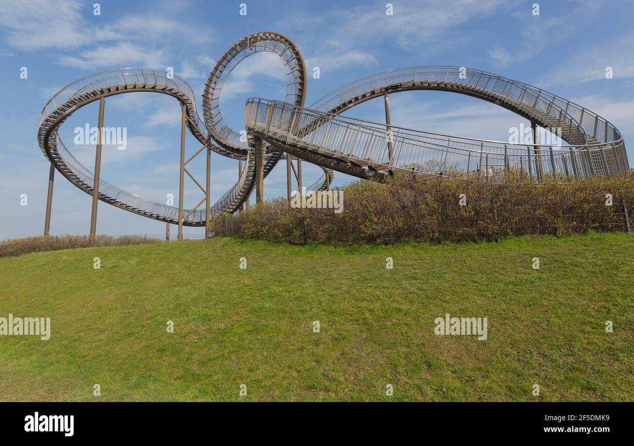 Tiger loop hi-res stock photography and images - Alamy