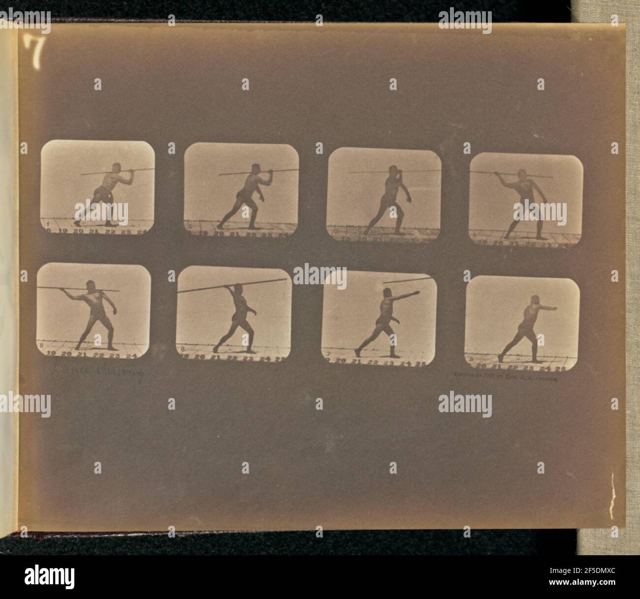 Hand Lance High Resolution Stock Photography and Images - Alamy