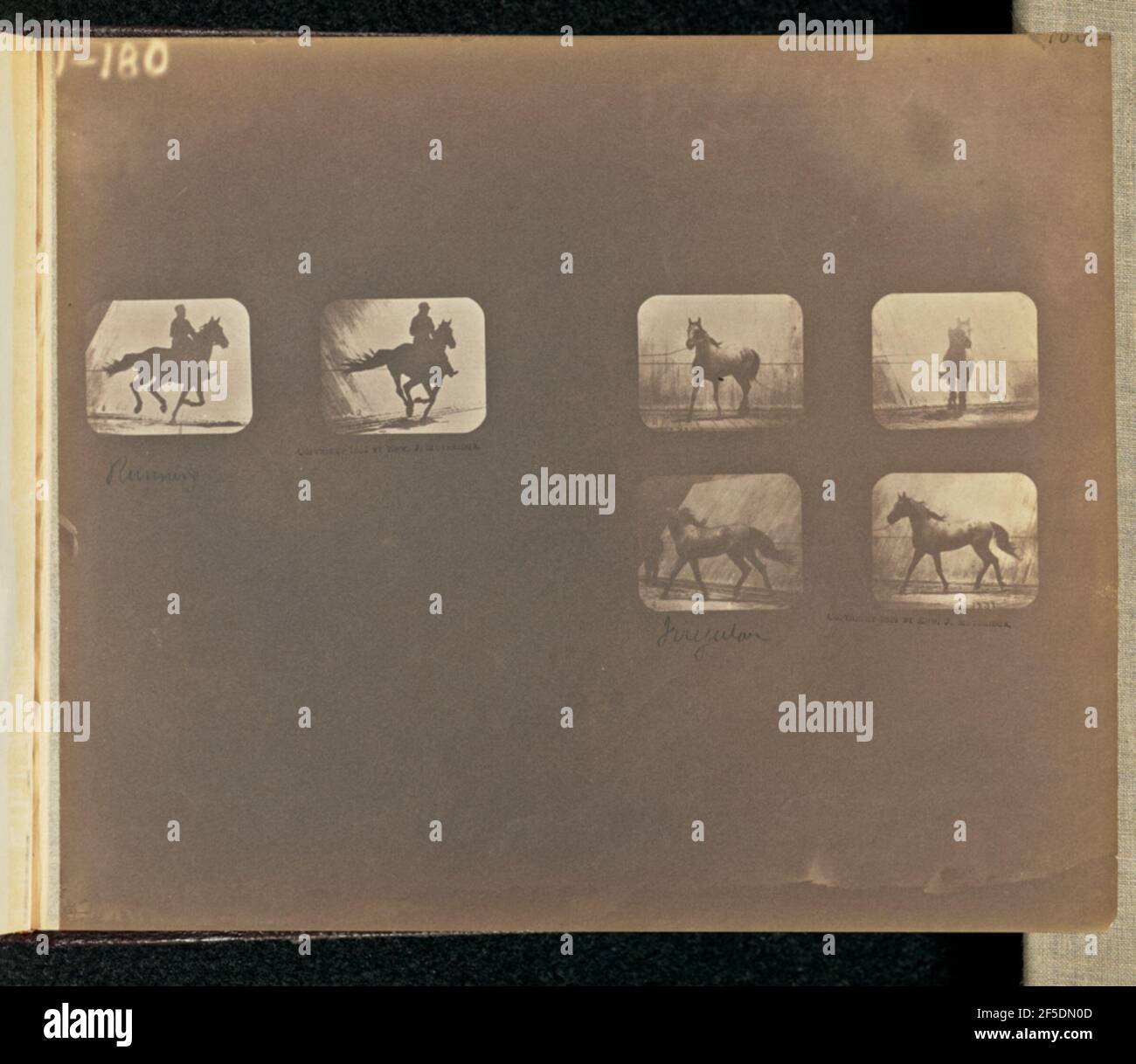 180 frames hi-res stock photography and images - Alamy