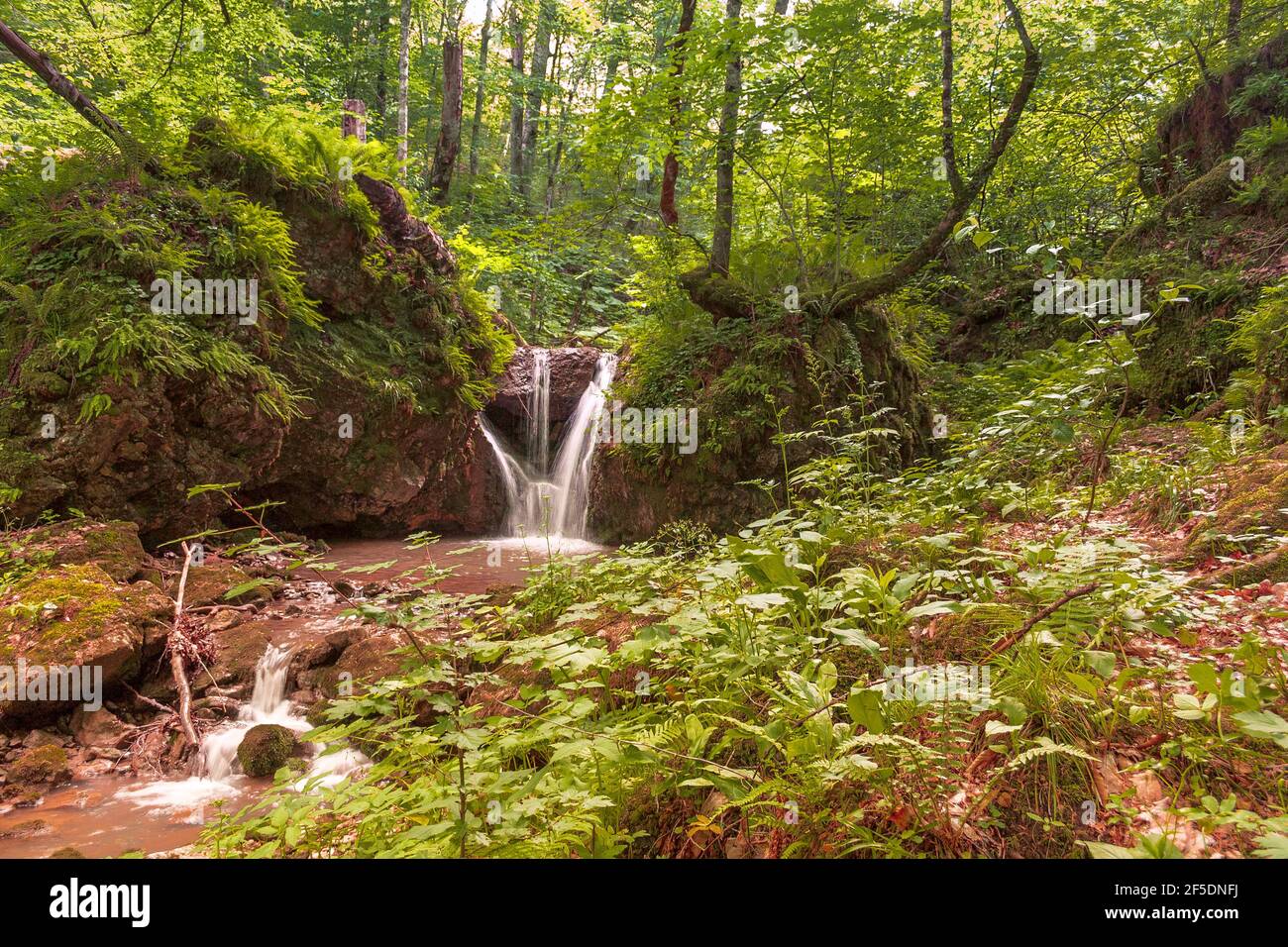 a small mountain river at the bottom of a deep gorge, a small waterfall ...