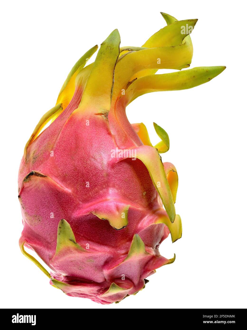 Fresh dragon fruit close-up isolated on a white background Stock Photo ...