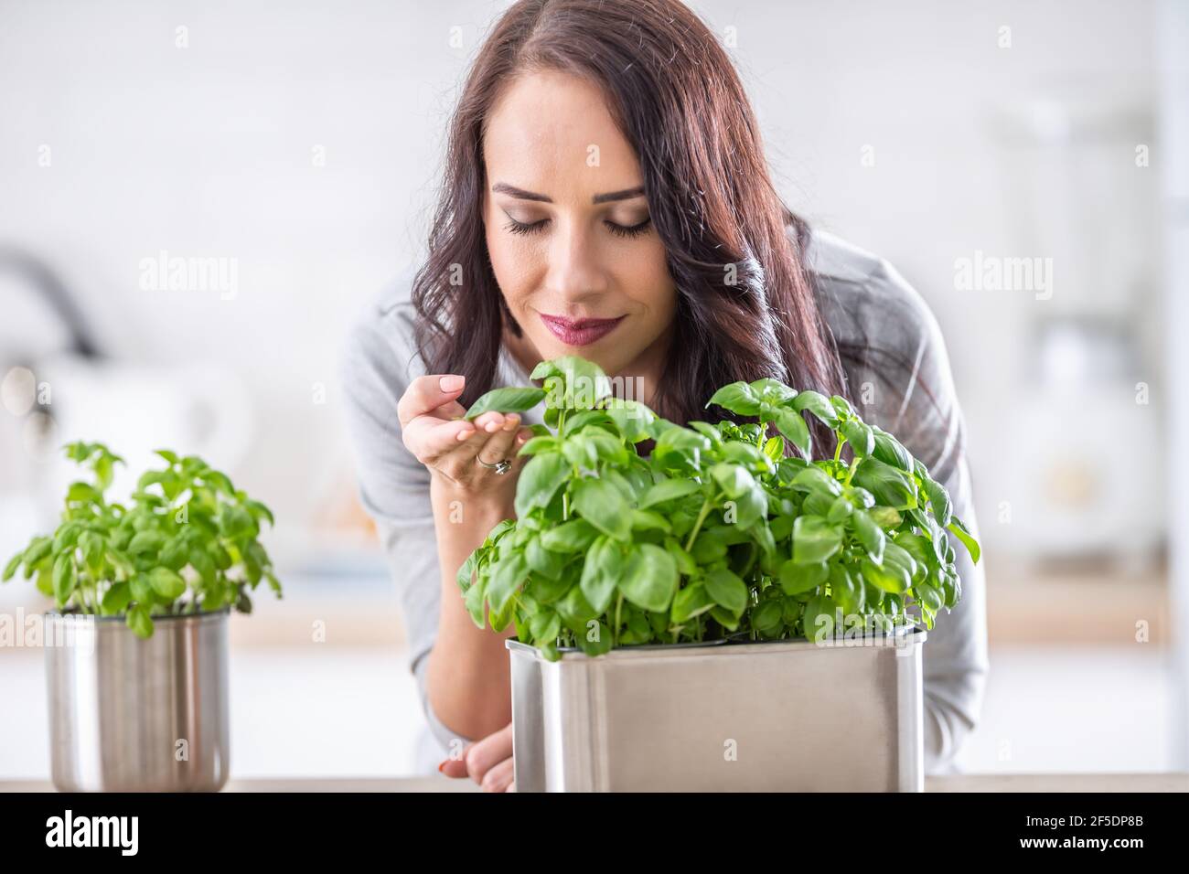Woman Smelling Basil High Resolution Stock Photography and Images - Alamy