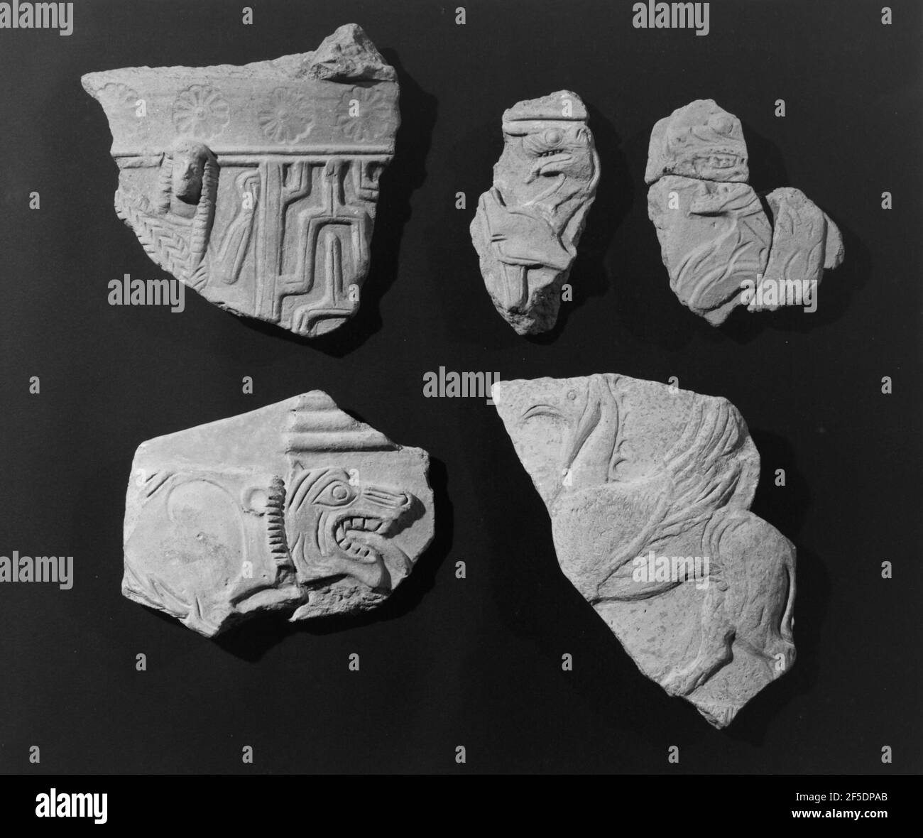 Body fragment hi-res stock photography and images - Alamy