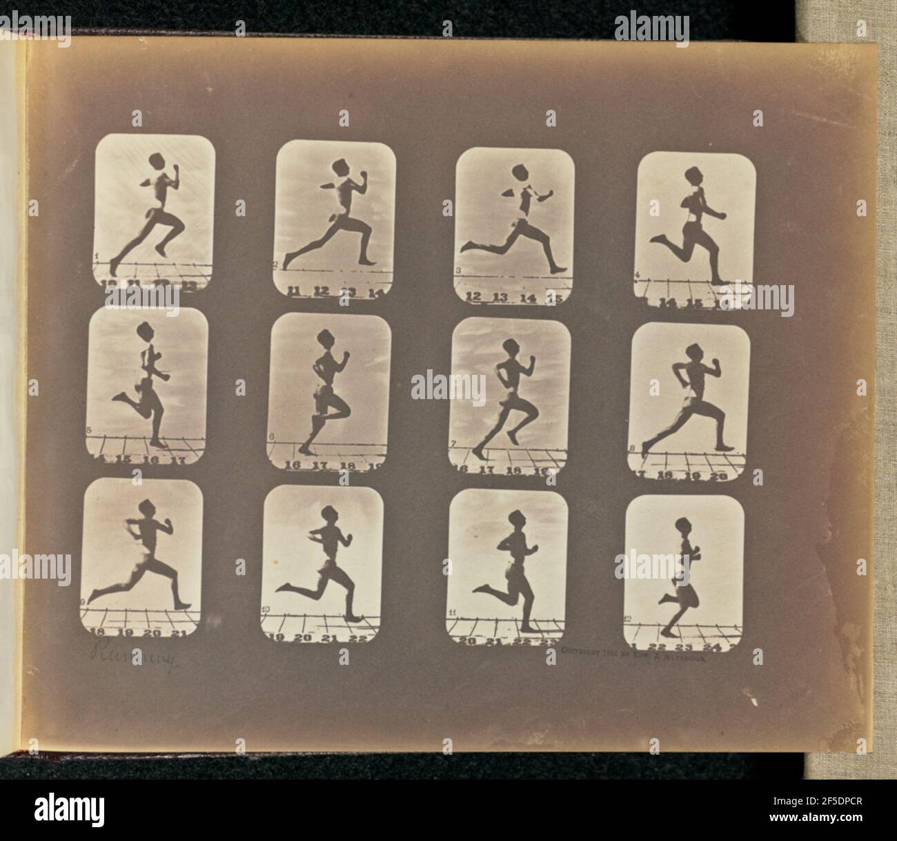 Running. Eadweard J. Muybridge (American, born England, 1830 - 1904 ...