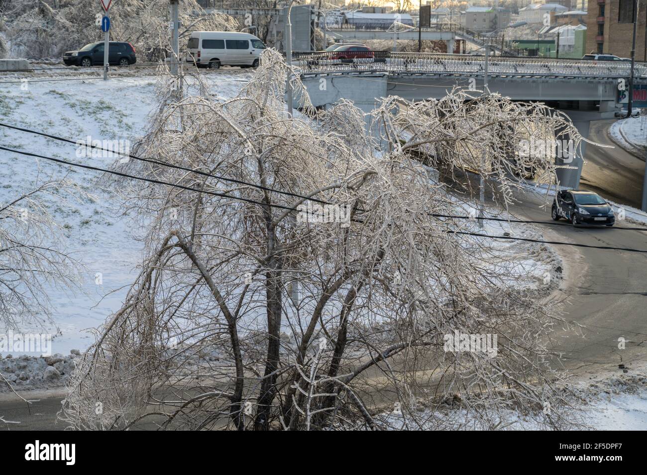 VLADIVOSTOK, RUSSIA - NOVEMBER 23, 2020: Trees are covered with a crust ...