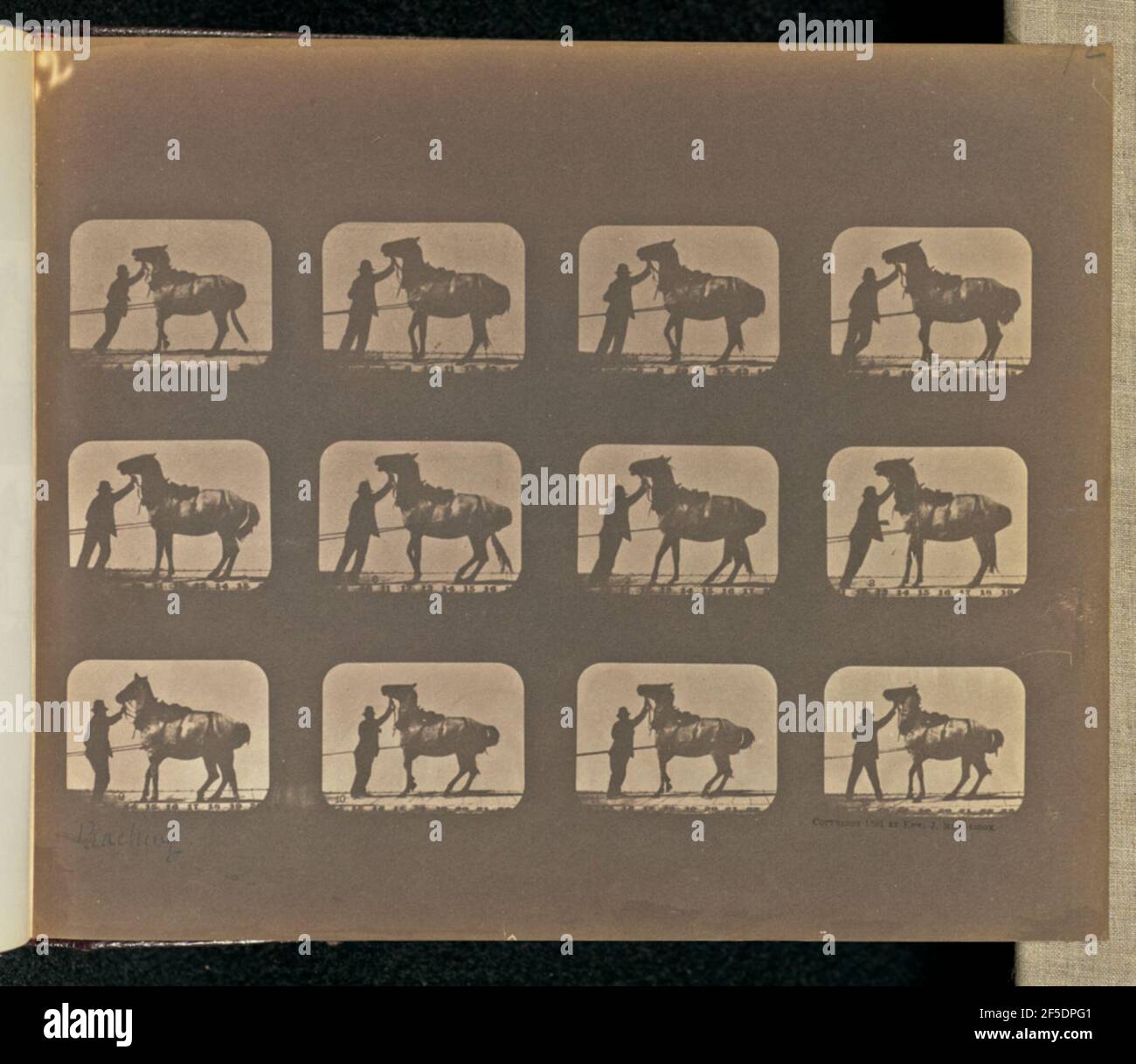 Reverse angle hi-res stock photography and images - Alamy