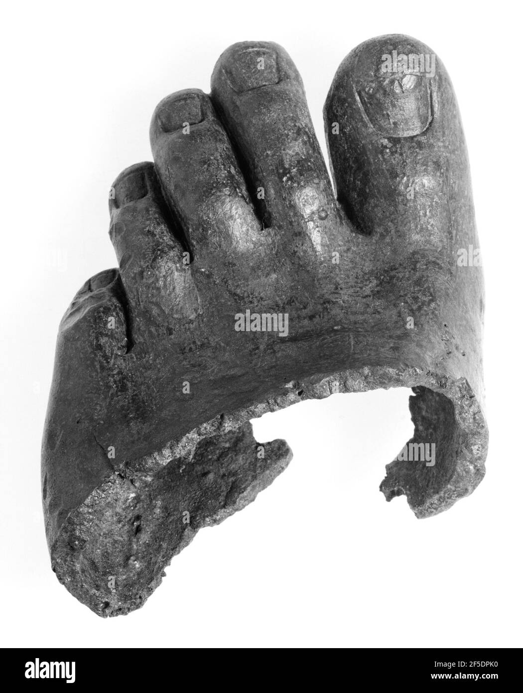 Male analysis Cut Out Stock Images & Pictures - Alamy