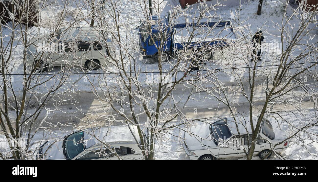 VLADIVOSTOK, RUSSIA - NOVEMBER 23, 2020: Trees are covered with a crust ...
