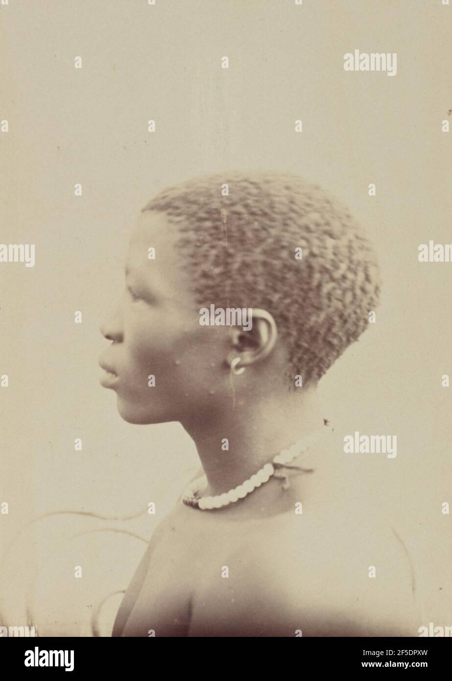 Roland napoleon prince bonaparte hi-res stock photography and images ...