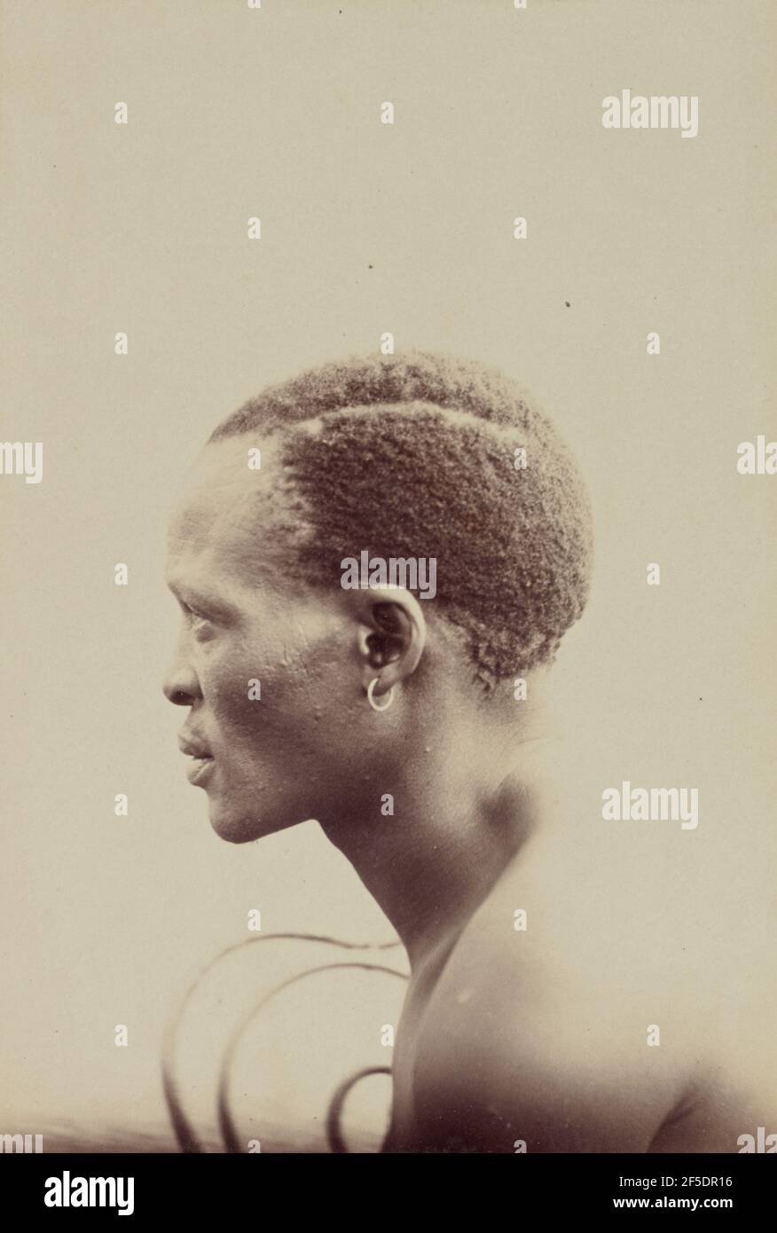 Jacobus Huch, 26 ans. Prince Roland Napoleon Bonaparte (French, 1858 ...