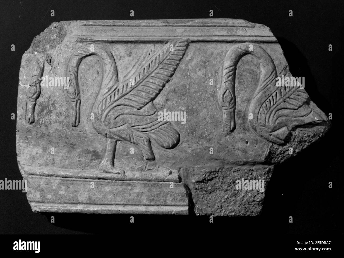 Body fragment hi-res stock photography and images - Alamy